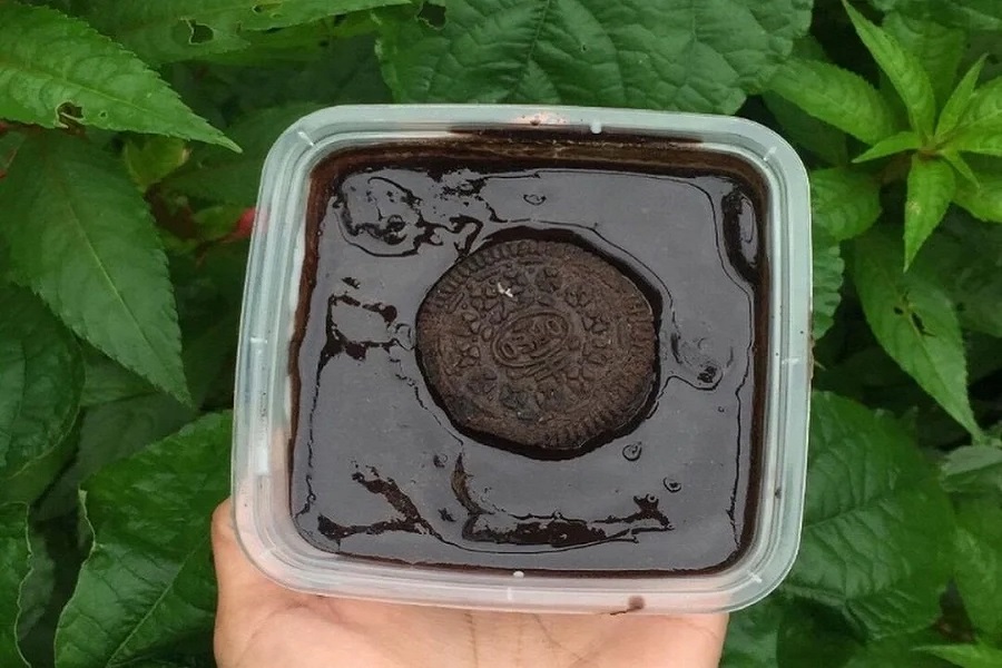 Resep Oreo Dessert Box Sederhana, Tanpa Oven Anti Ribet